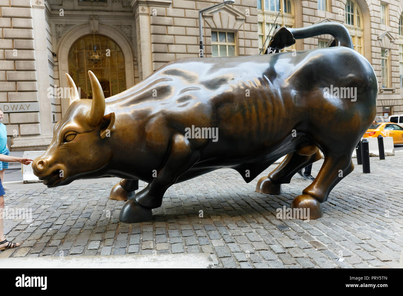 New York,USA: May 25, 2018:Charging bull sculpture at New York, USA ...