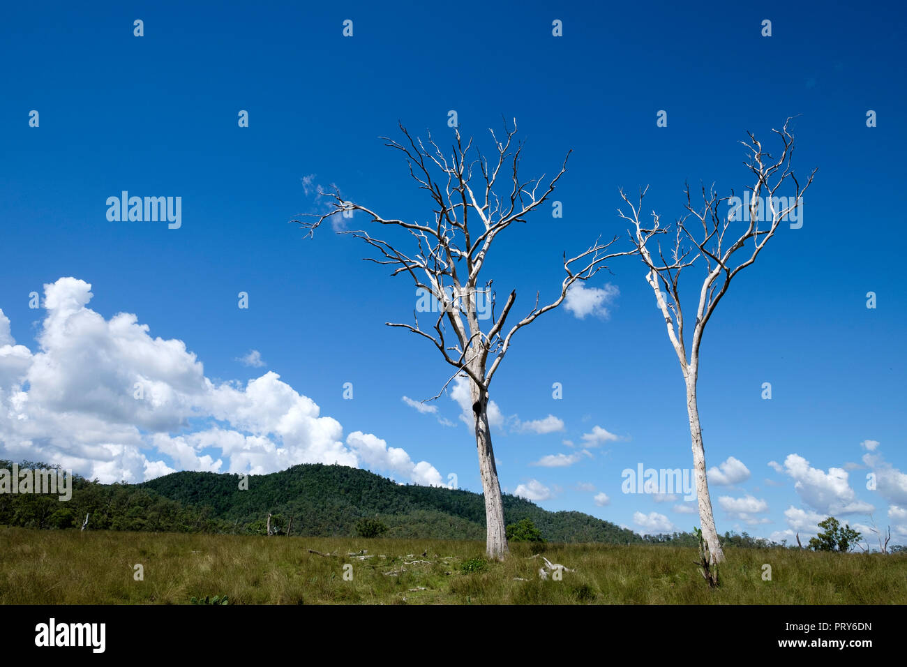 Near Mt Stanley Stock Photo - Alamy