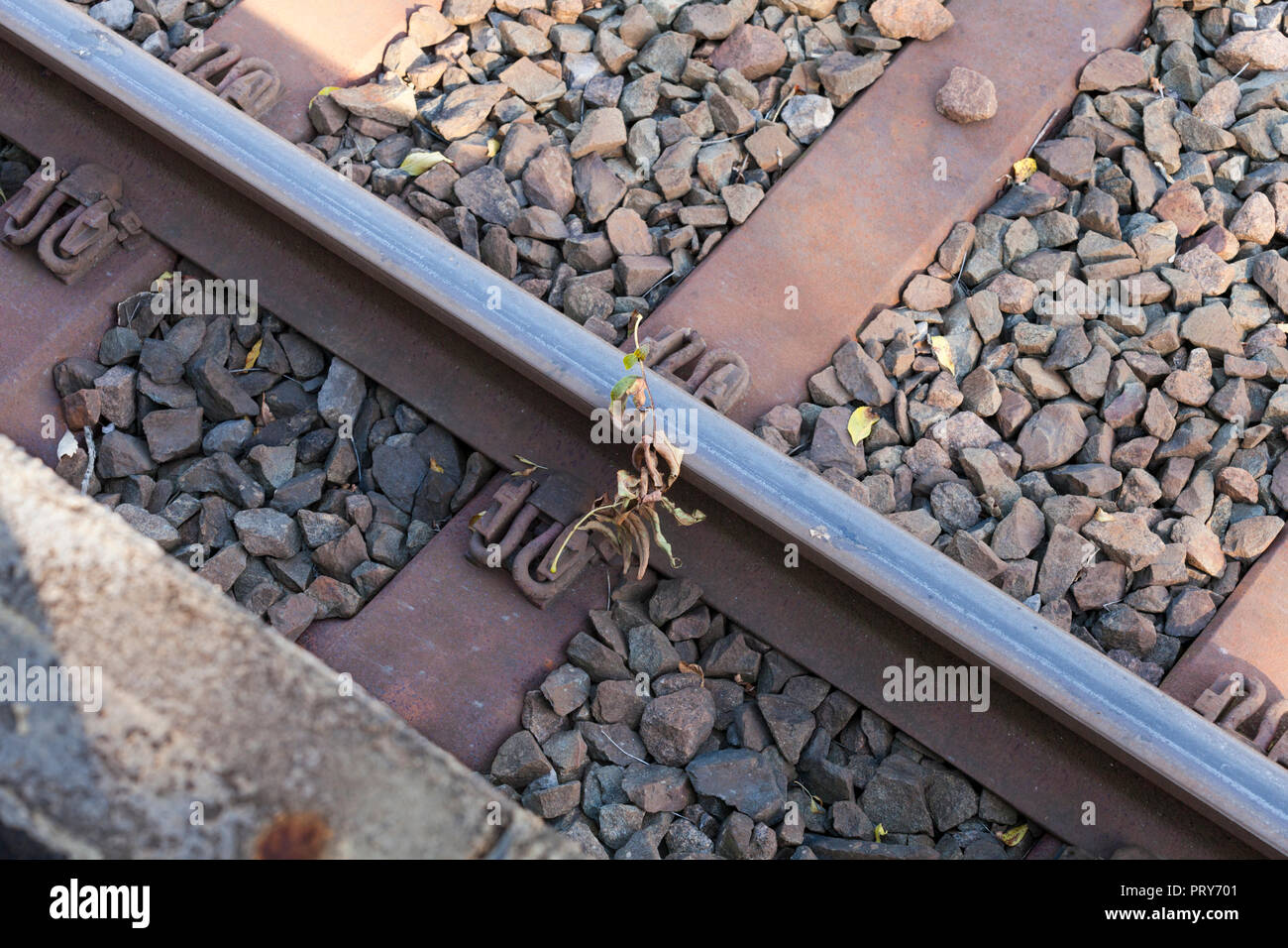 Leaves On Rail Track High Resolution Stock Photography and Images - Alamy