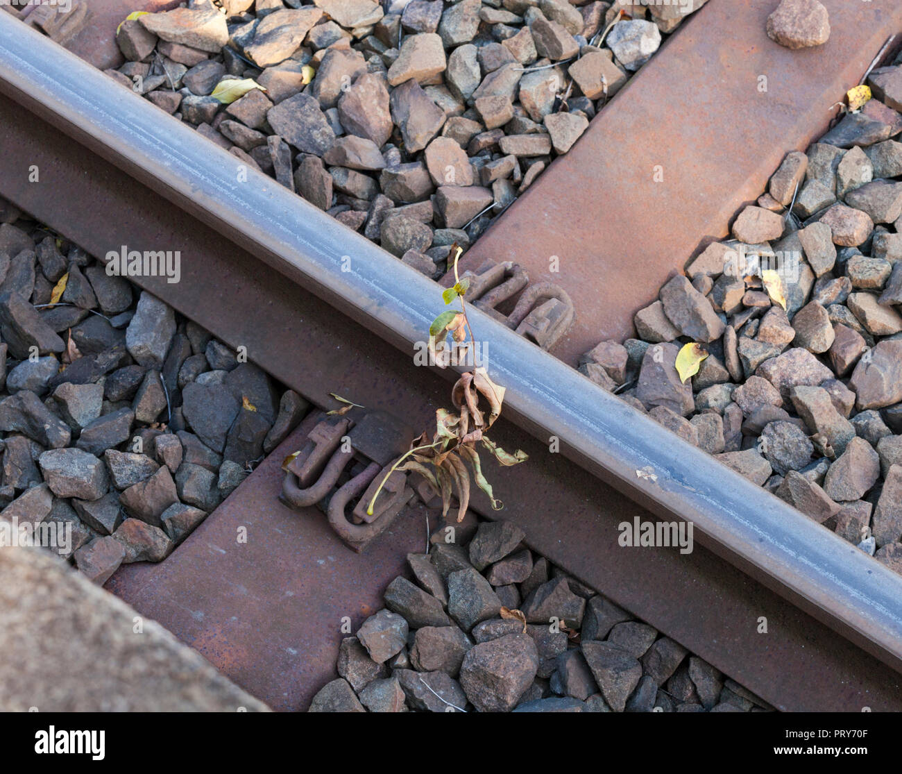 Leaves on track uk hi-res stock photography and images - Alamy