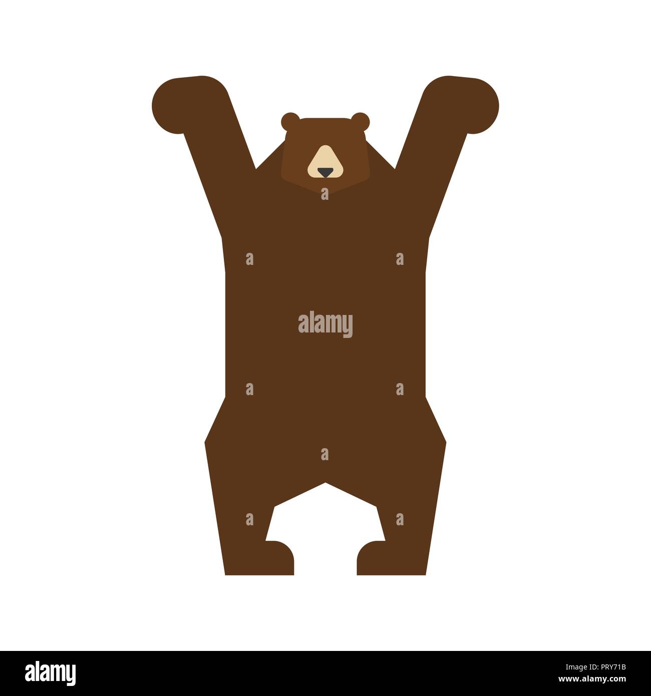 Big male bear standing Cut Out Stock Images & Pictures - Alamy