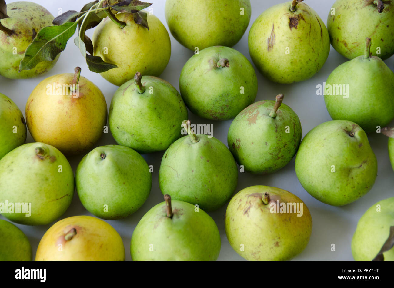 Pears Group High Resolution Stock Photography and Images - Alamy