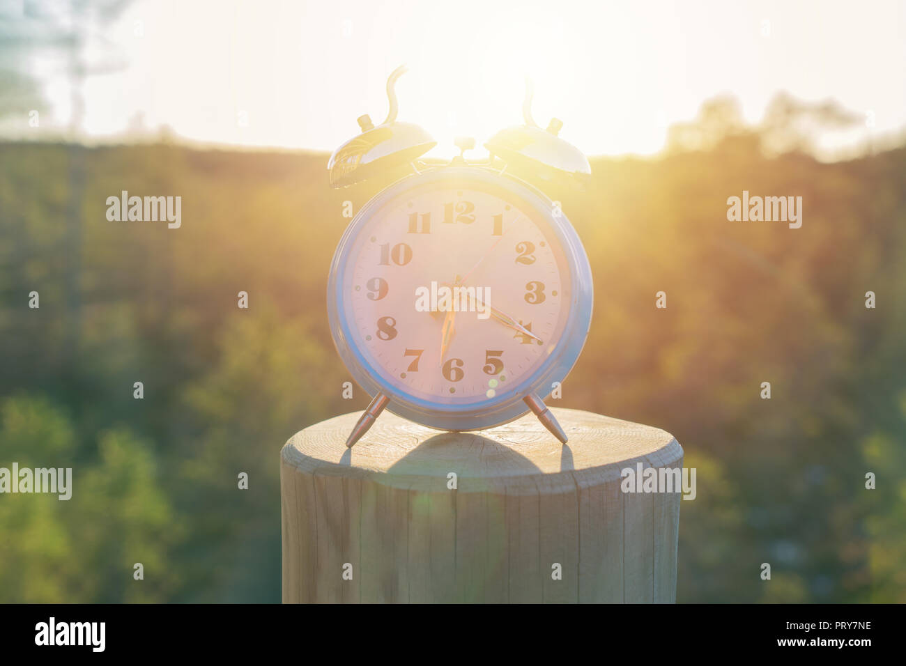 Vintage blue alarm clock on summer forest background. Daylight saving ...
