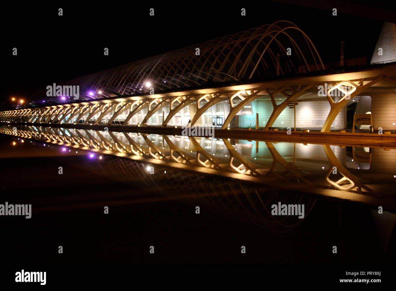 Night view of Umbracle esplanade in the City of Arts and Science ...