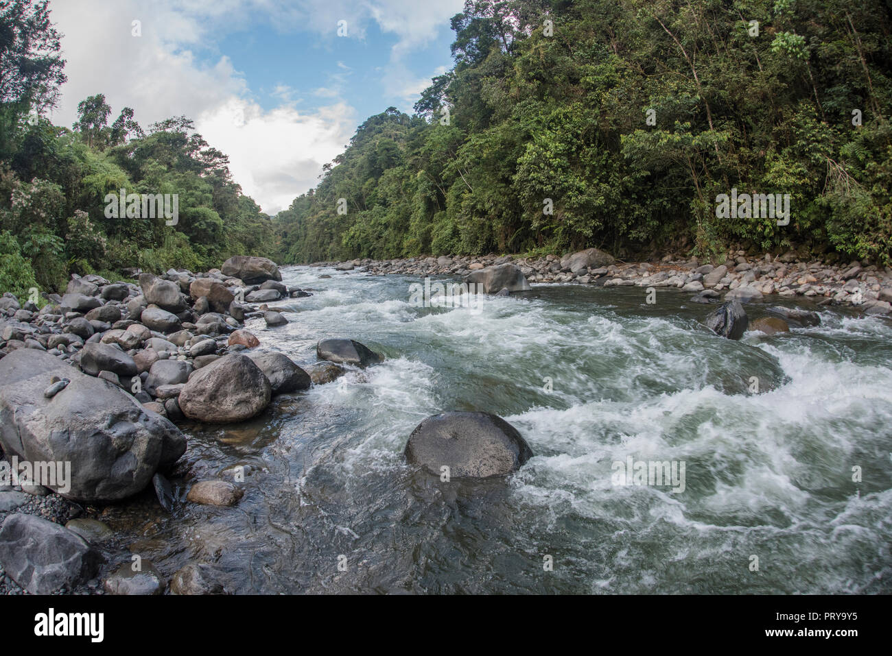 Manu river manu national park hi-res stock photography and images - Alamy