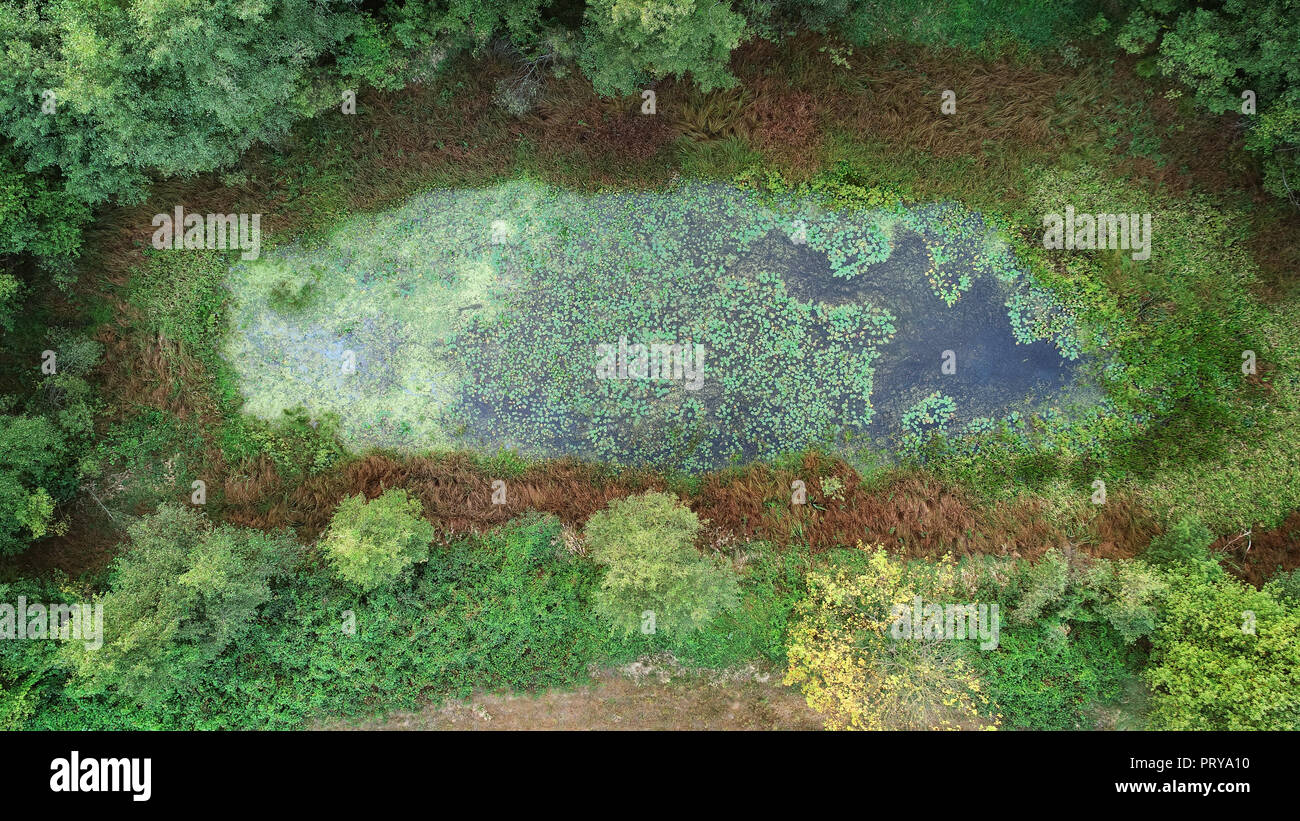 Small pond from the drone Stock Photo - Alamy