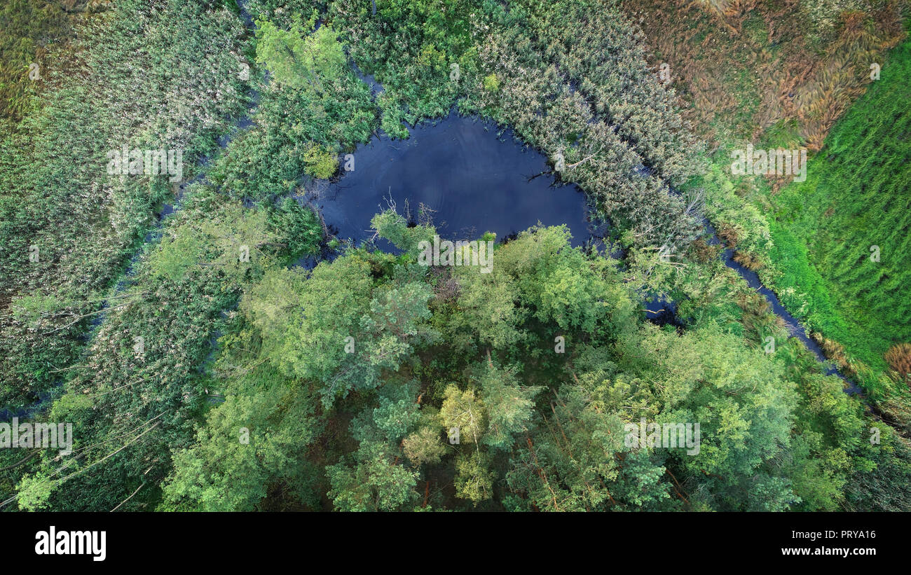 Small pond from the drone Stock Photo - Alamy