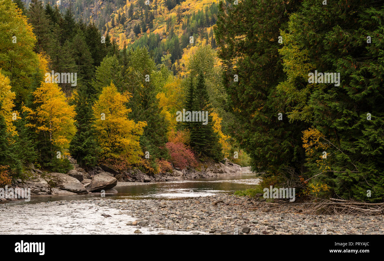 Fall color along McDonald Creek near Red Rock Point in Glacier National ...