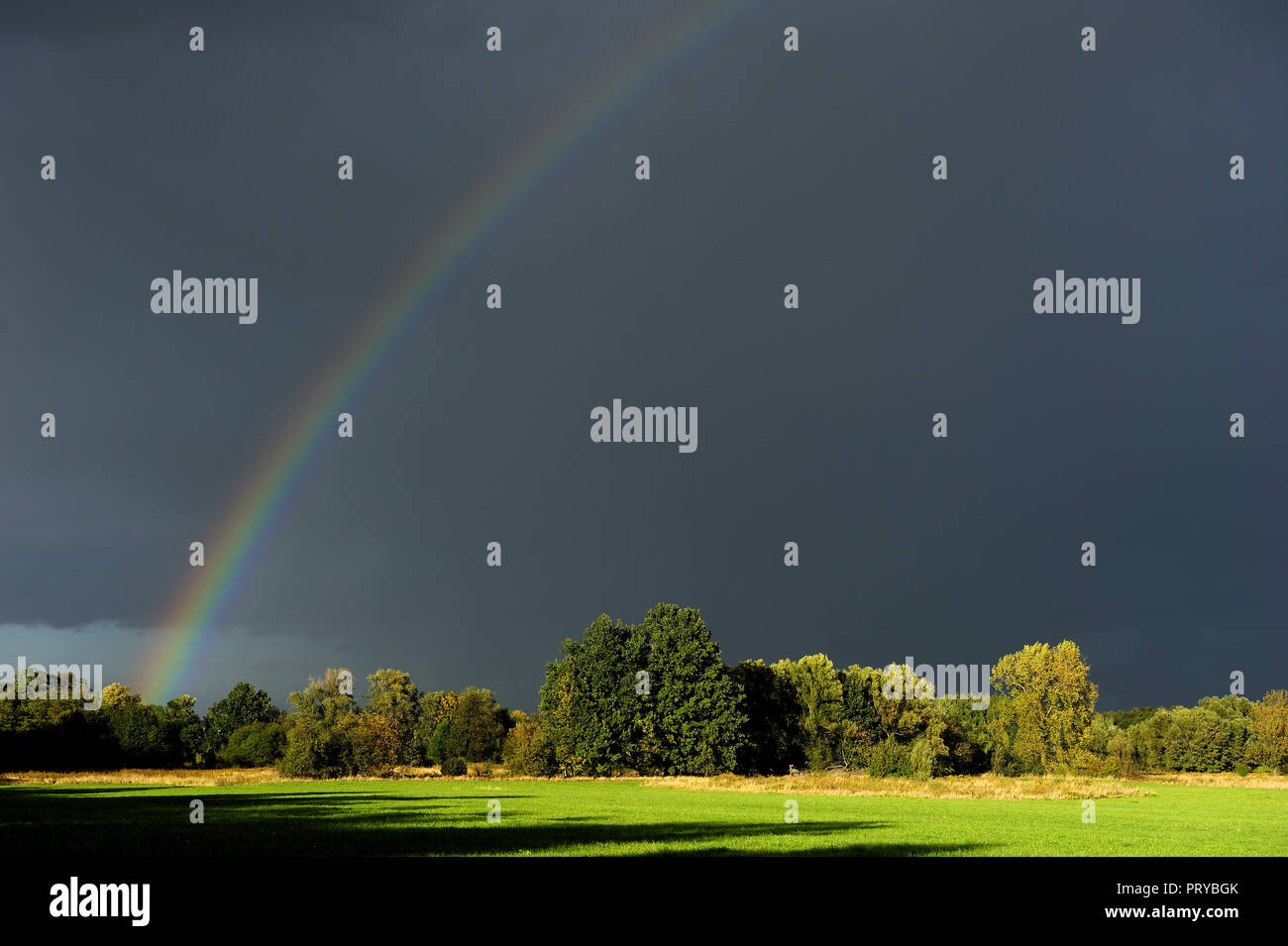 autumn, scenery, rainbow, climat, cumulus clouds, autumn, coming ...