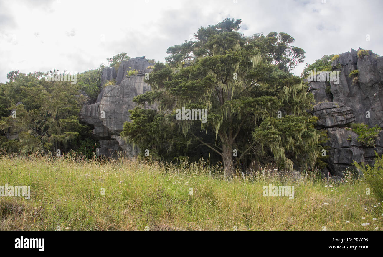 Countryside landscape with natural flora and limestone rock formations ...