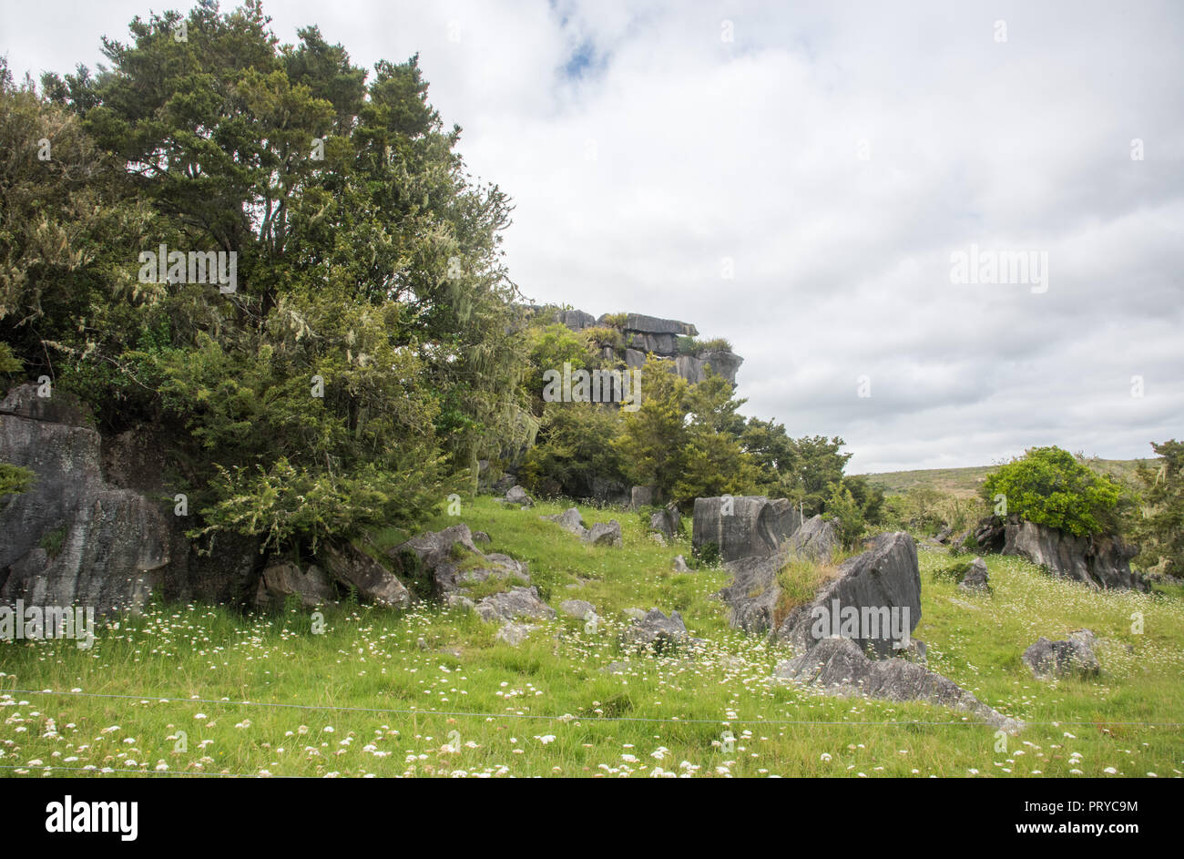 Countryside landscape with natural flora and limestone rock formations ...