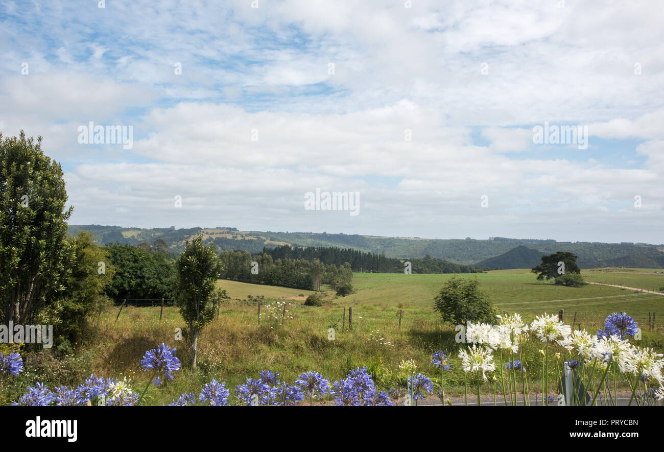 Rural countryside scene with green grass and lush rolling hill ...