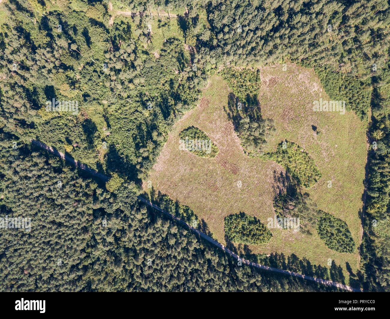Forest seen from above. Drone landscape with European forest Stock ...