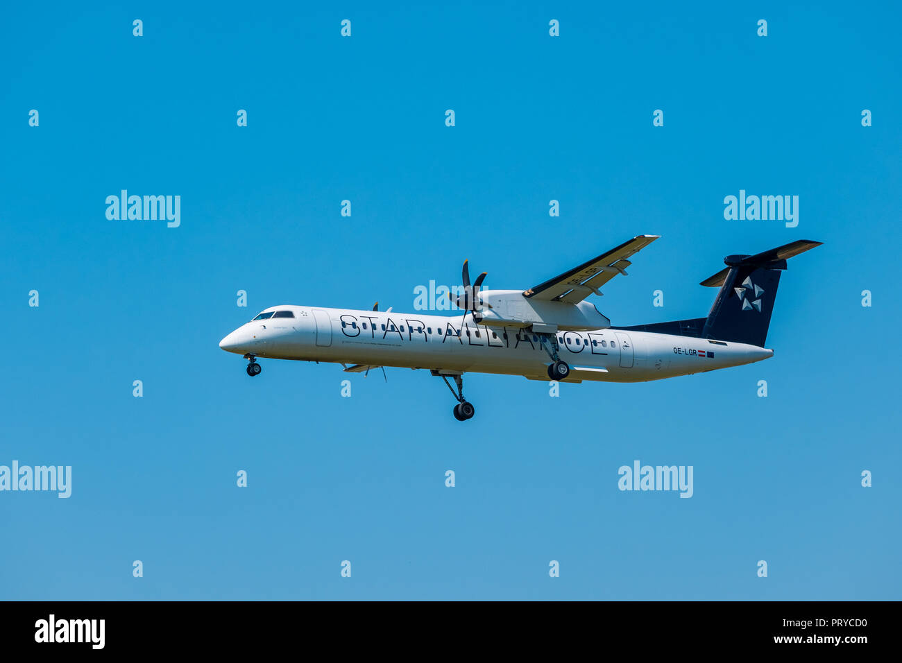 Star Alliance Airlines