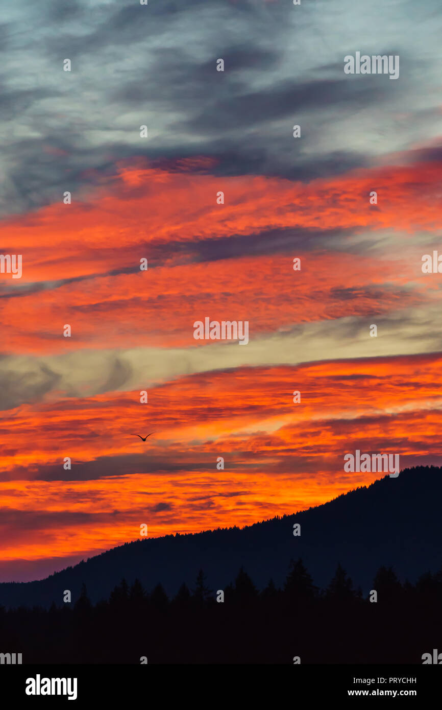 Beautiful sunset view hi-res stock photography and images - Alamy