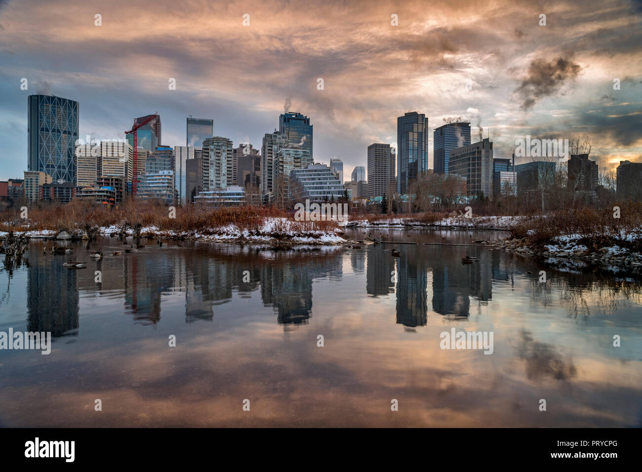 Downtown calgary hi-res stock photography and images - Alamy
