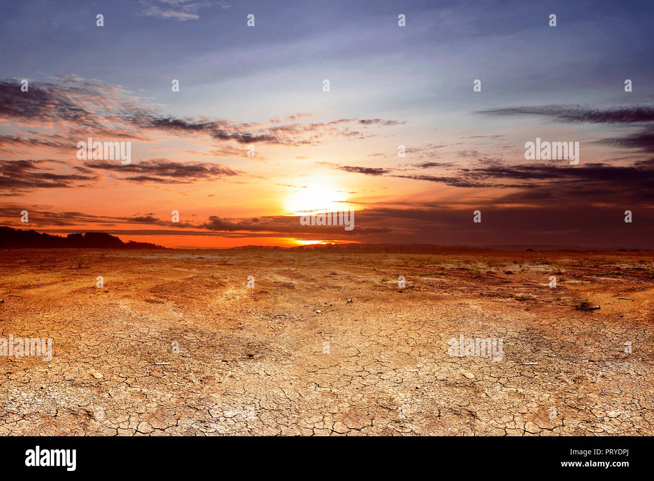 Horror landscape hi-res stock photography and images - Alamy