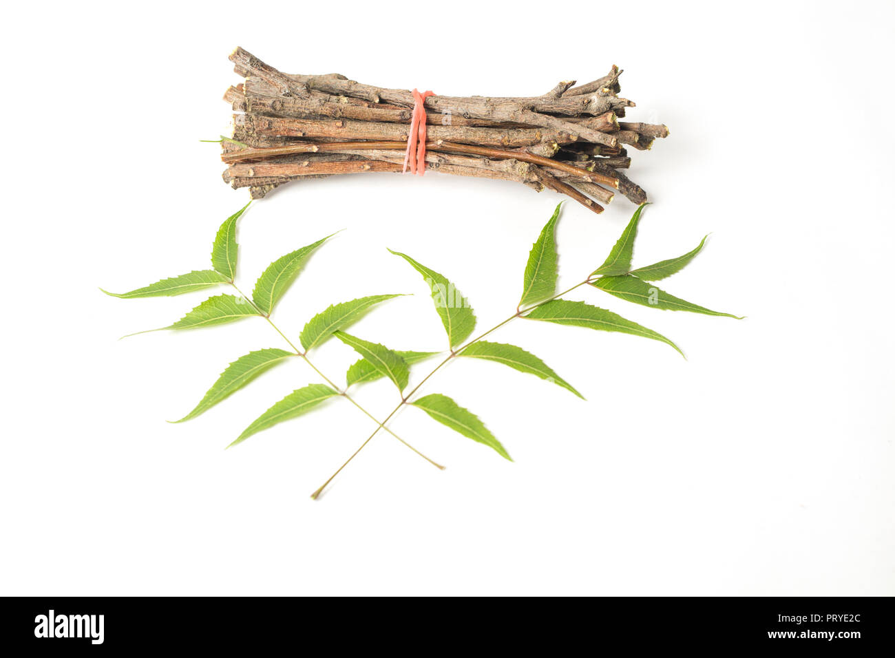 Neem background hi-res stock photography and images - Alamy