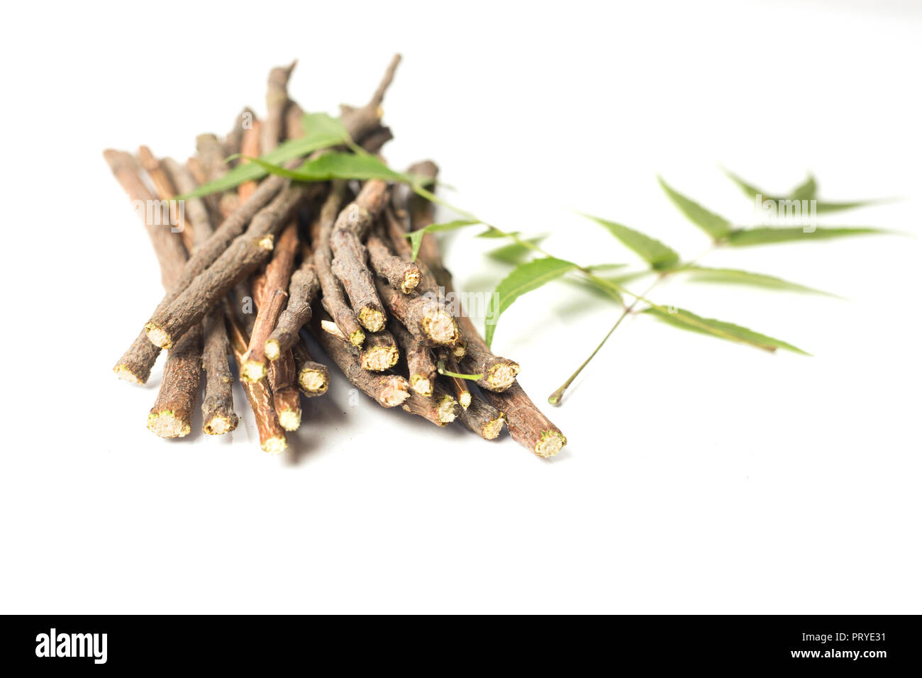 Neem sticks and Neem leaves. white isolated background Stock Photo - Alamy
