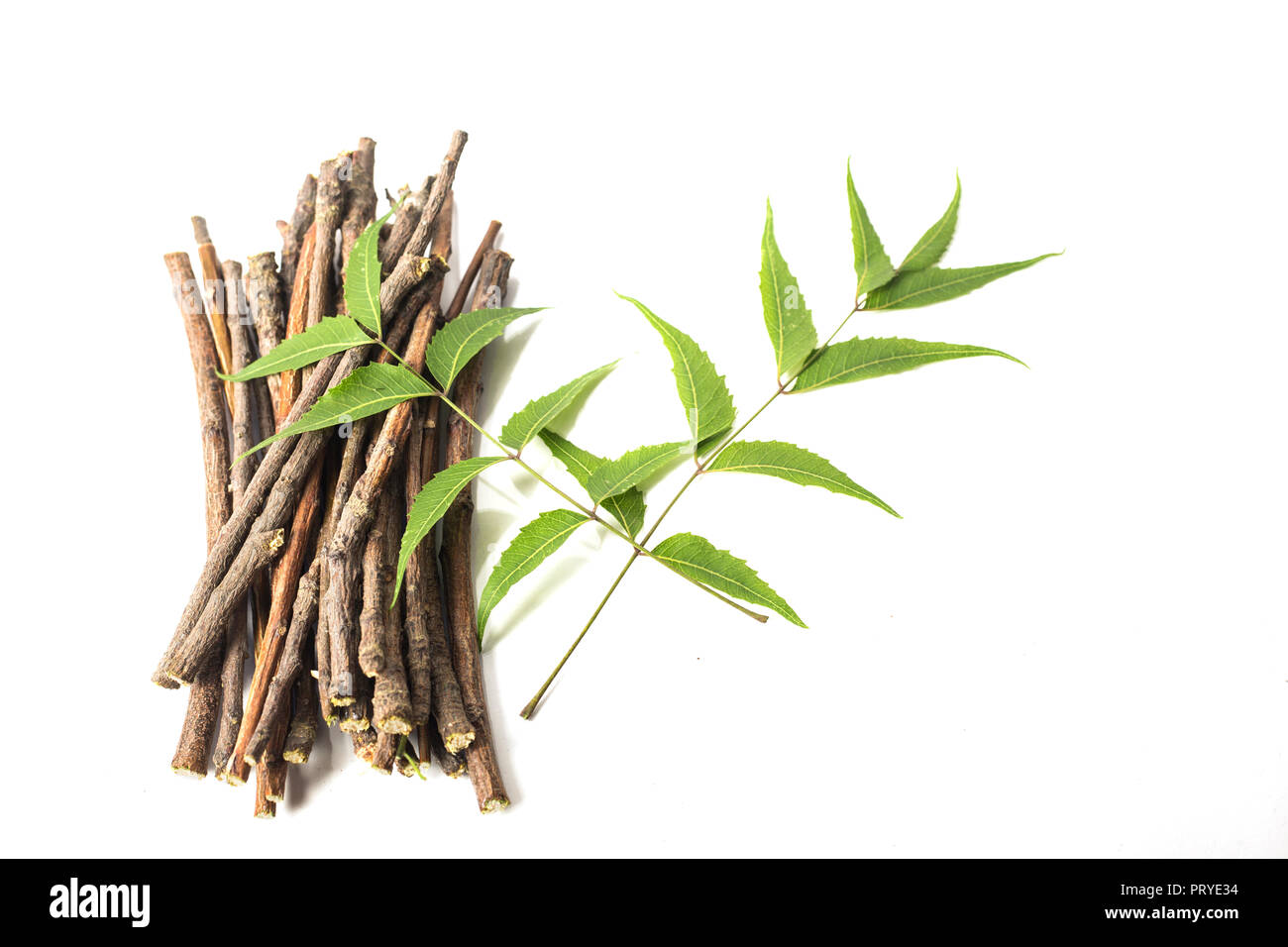 Neem tree green leaves leaf hi-res stock photography and images - Alamy