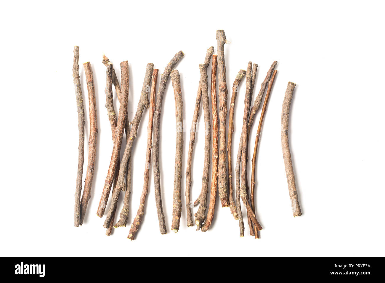 Neem wooden sticks. white isolated background Stock Photo - Alamy