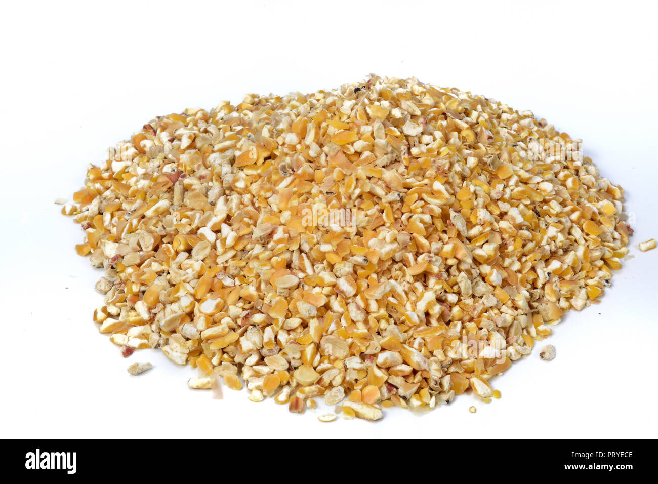 corn party food for chickens Stock Photo - Alamy