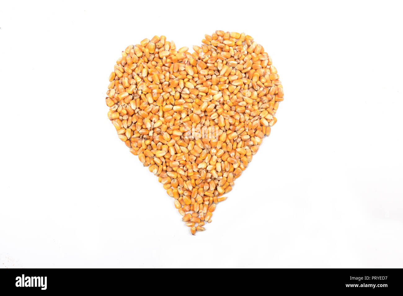 Modified corn Cut Out Stock Images & Pictures - Alamy