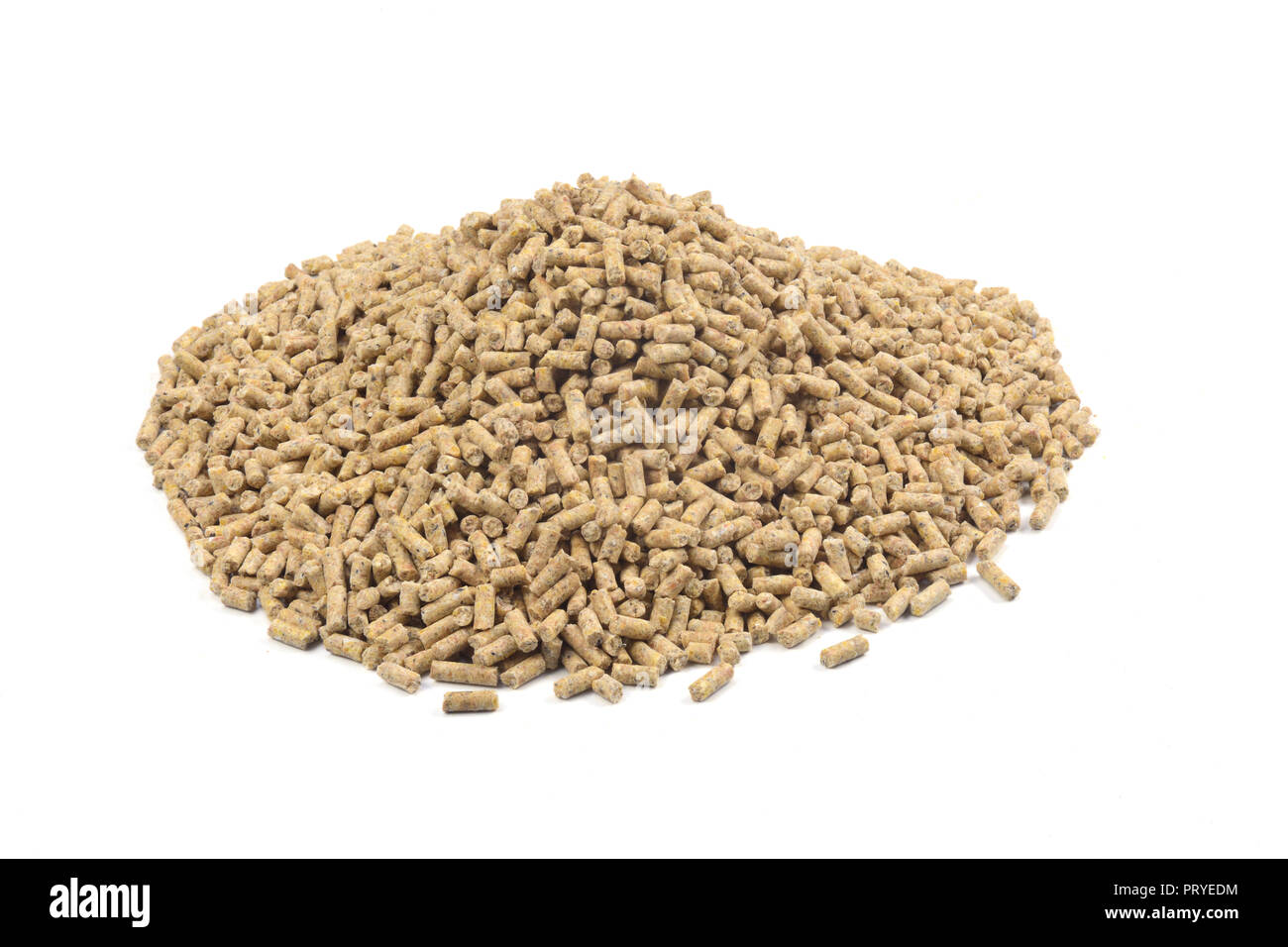 Chicken feed corn not fodder Cut Out Stock Images & Pictures - Alamy