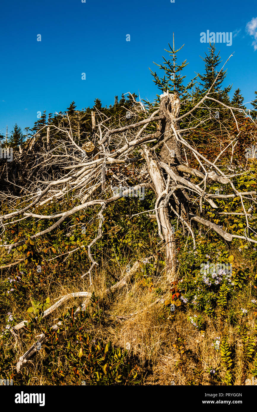 Trailside hi-res stock photography and images - Alamy