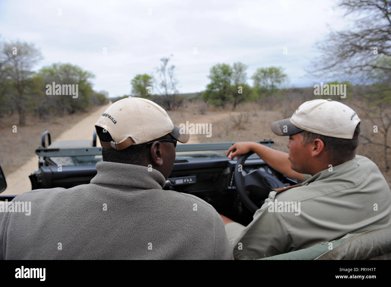 Kruger park jeep hi-res stock photography and images - Alamy