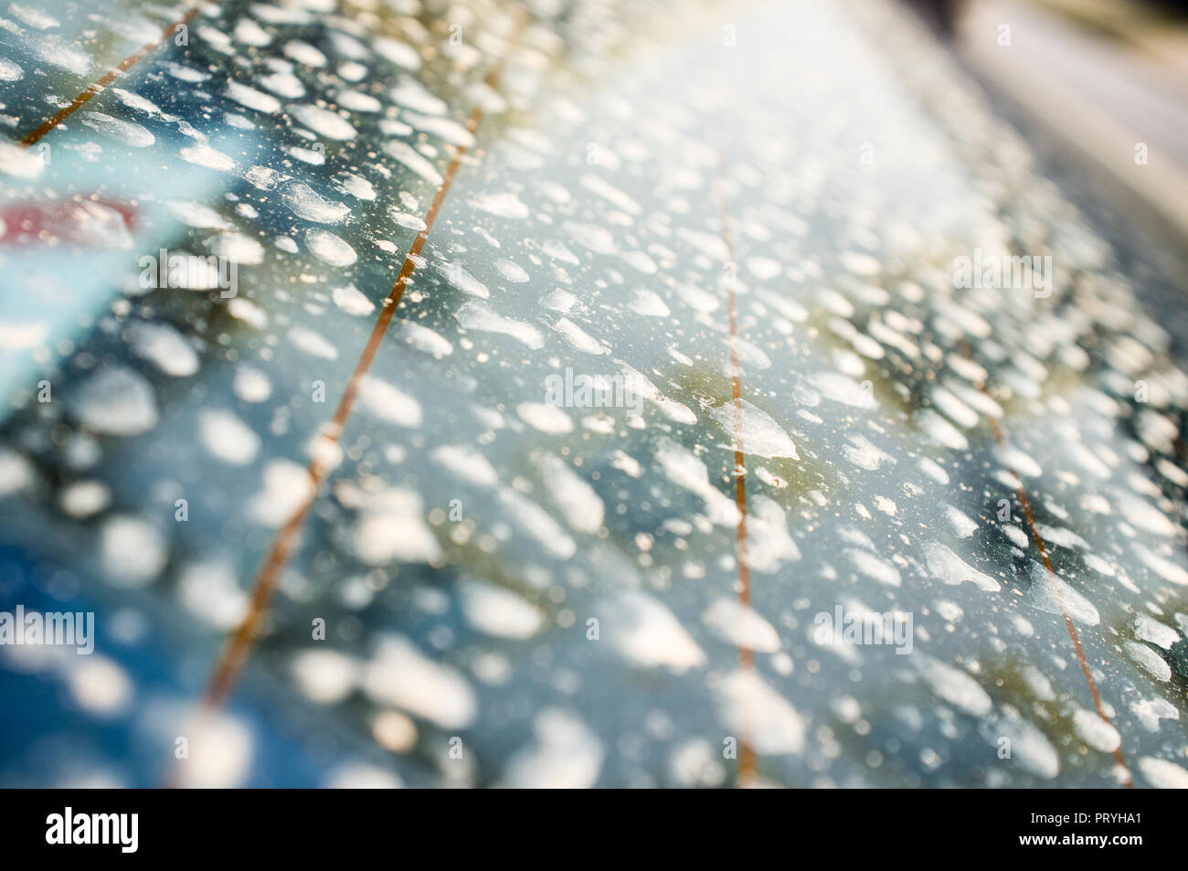 Car rear window hi-res stock photography and images - Alamy
