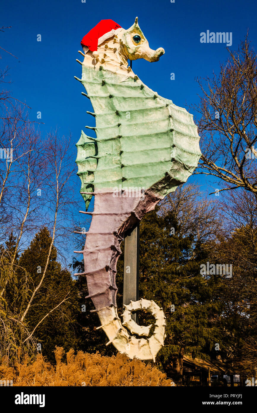 Giant Seahorse Mattapoiset, Massachusetts, USA Stock Photo - Alamy