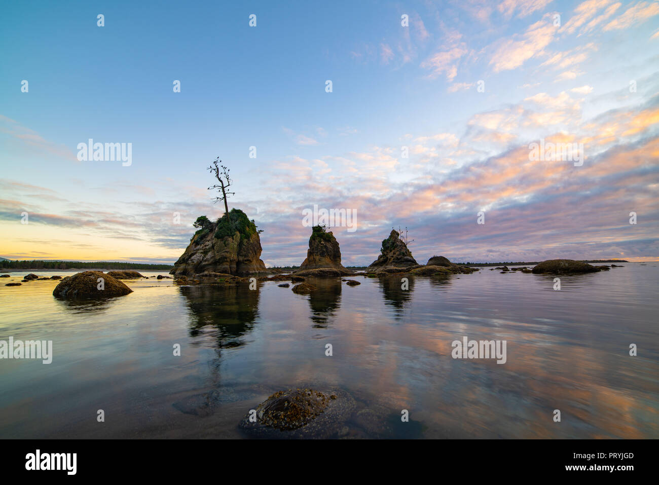 Rocks sticking out of ocean hi-res stock photography and images - Alamy