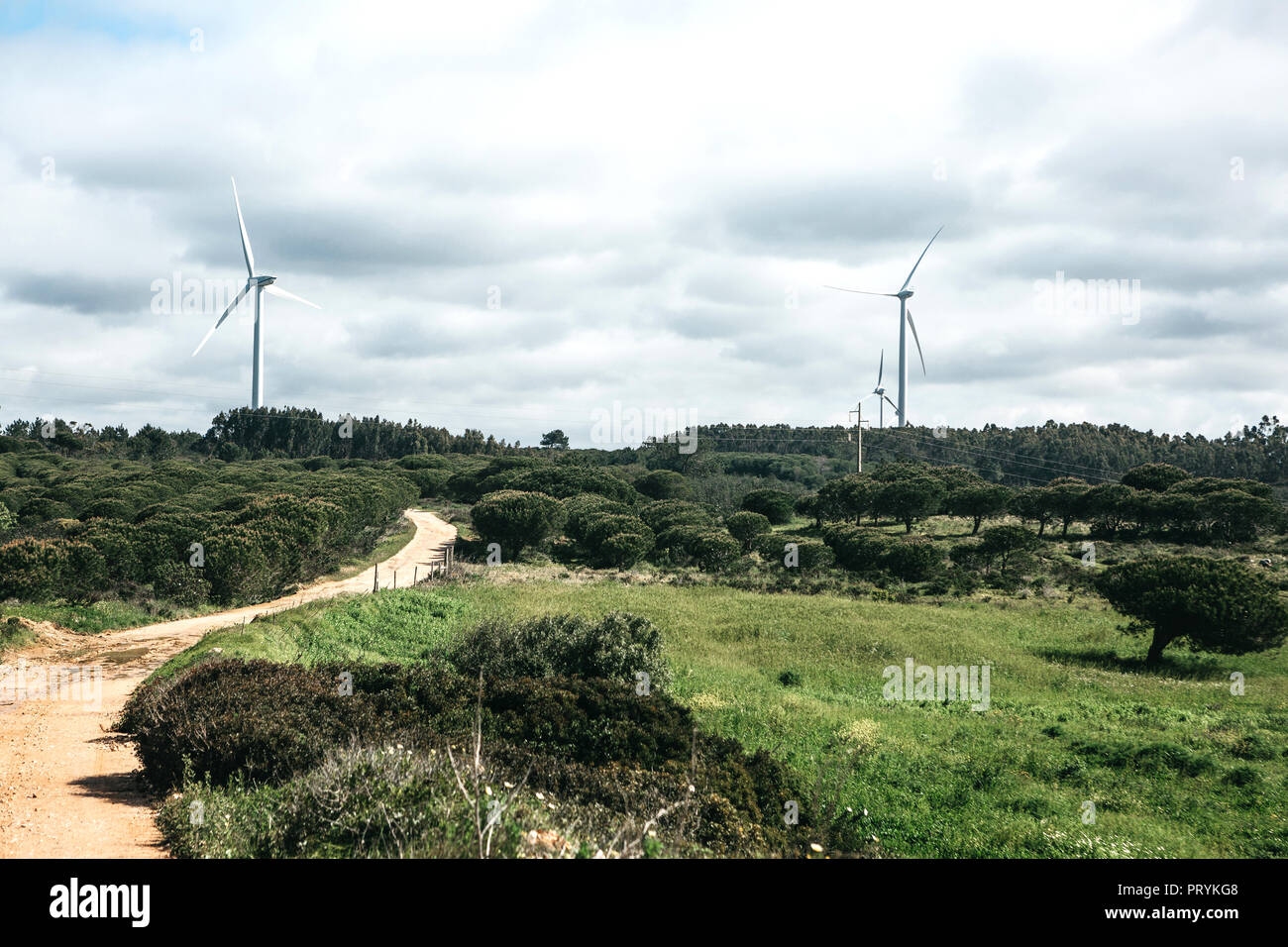 Wind farms or windmills for the extraction of wind power in Portugal ...
