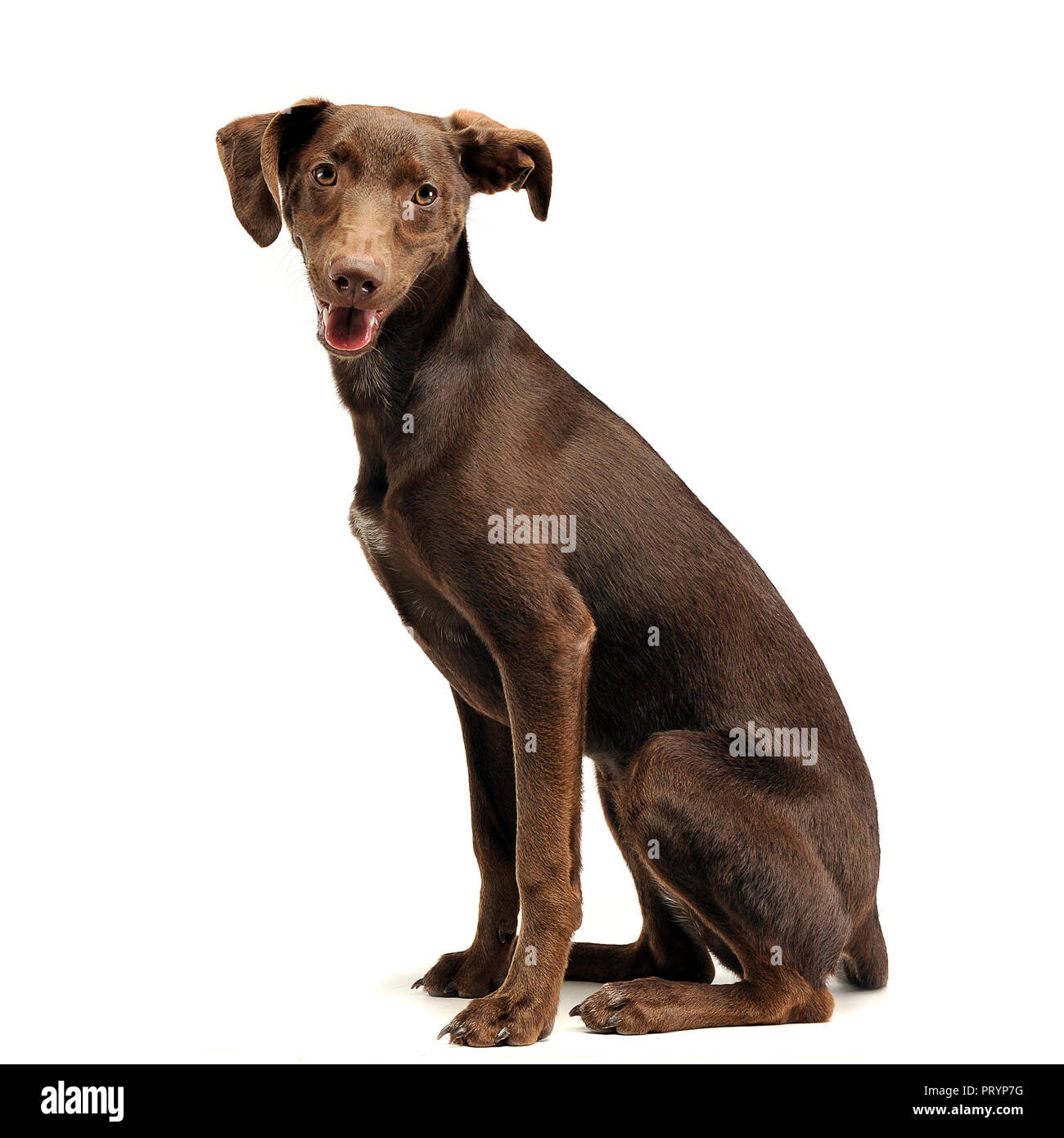 Flying sideways hi-res stock photography and images - Alamy