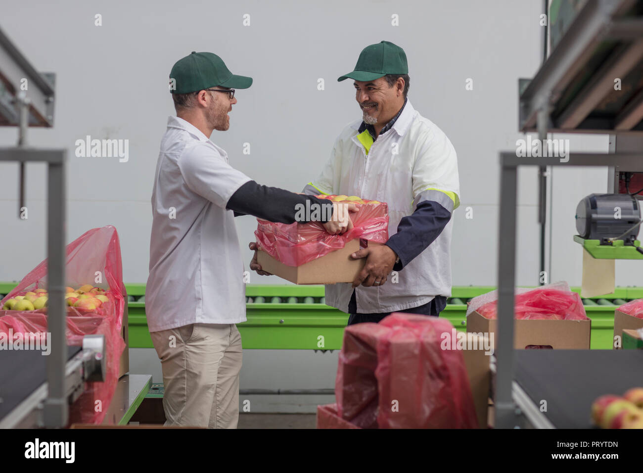 Apple packing workers hi-res stock photography and images - Alamy