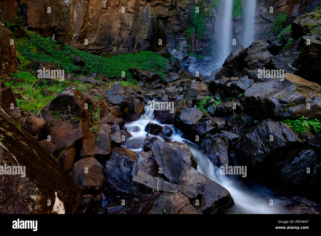 Queen Mary Falls History at JENENGE blog