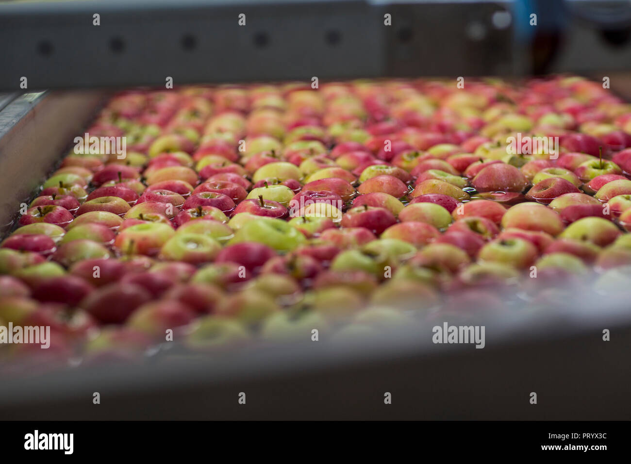 Food factory africa hi-res stock photography and images - Alamy