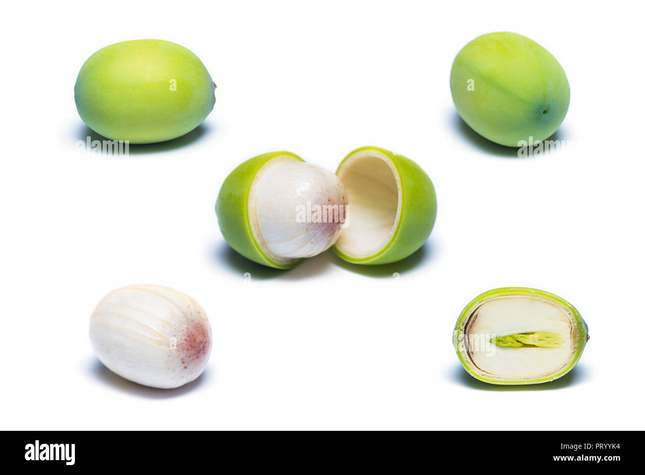 Anatomy of lotus seed isolated on white background Stock Photo - Alamy
