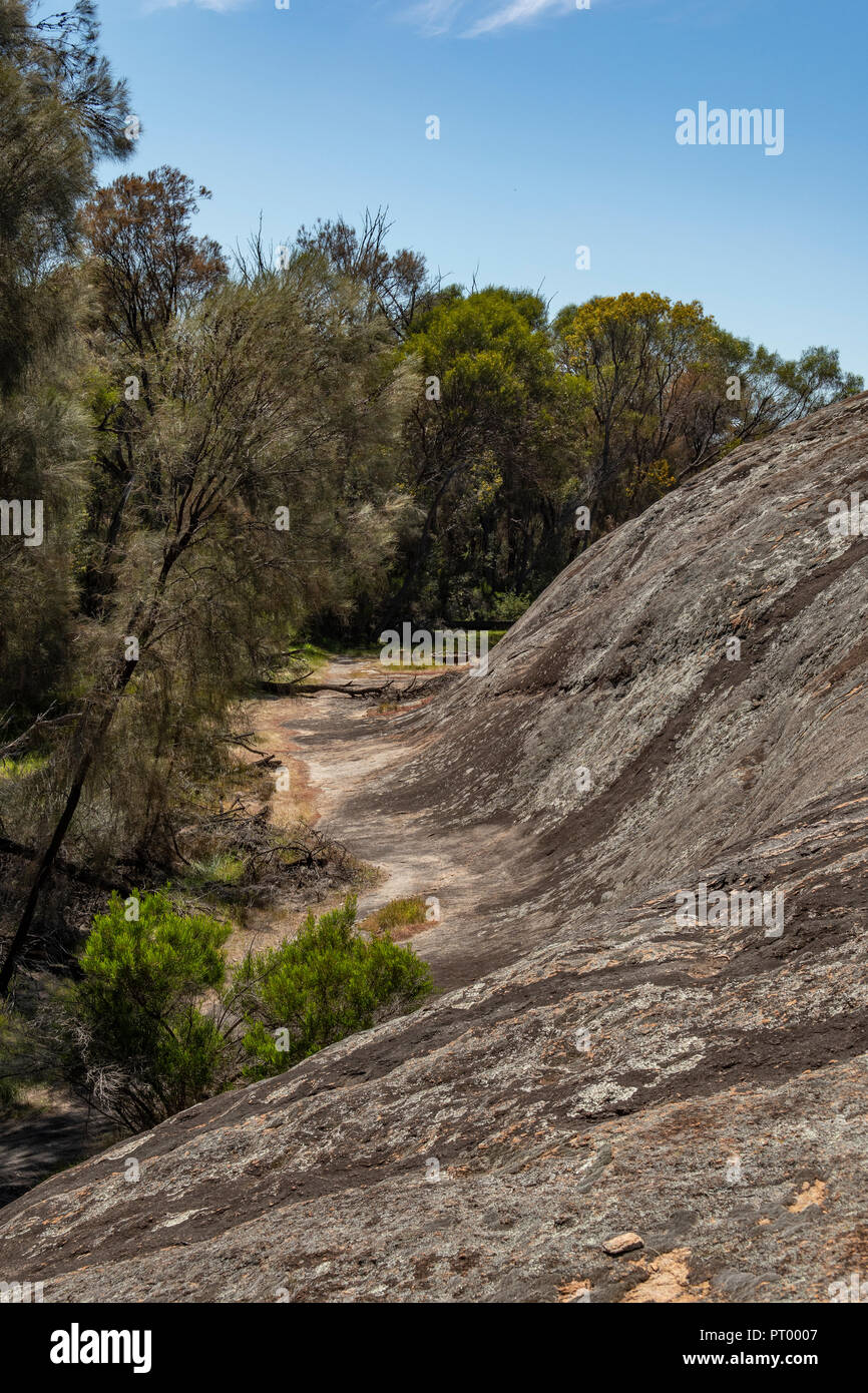 Wave Rock at Jilakin Rock, Kulin, WA, Australia Stock Photo - Alamy