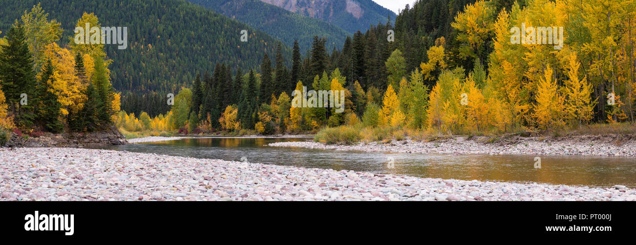 Fall color along the Middle Fork Flathead River in Montana Stock Photo ...