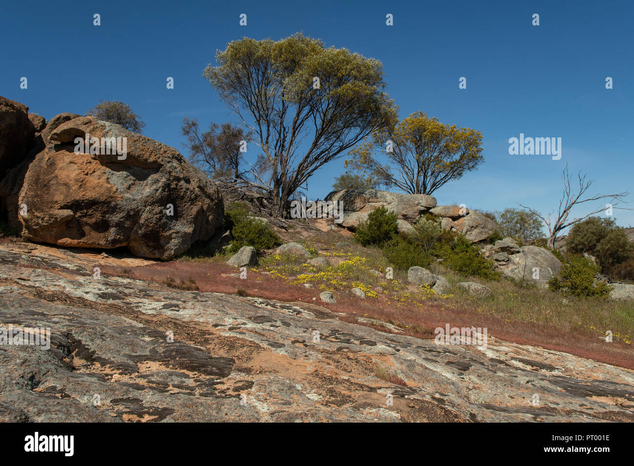 Kulin High Resolution Stock Photography and Images - Alamy