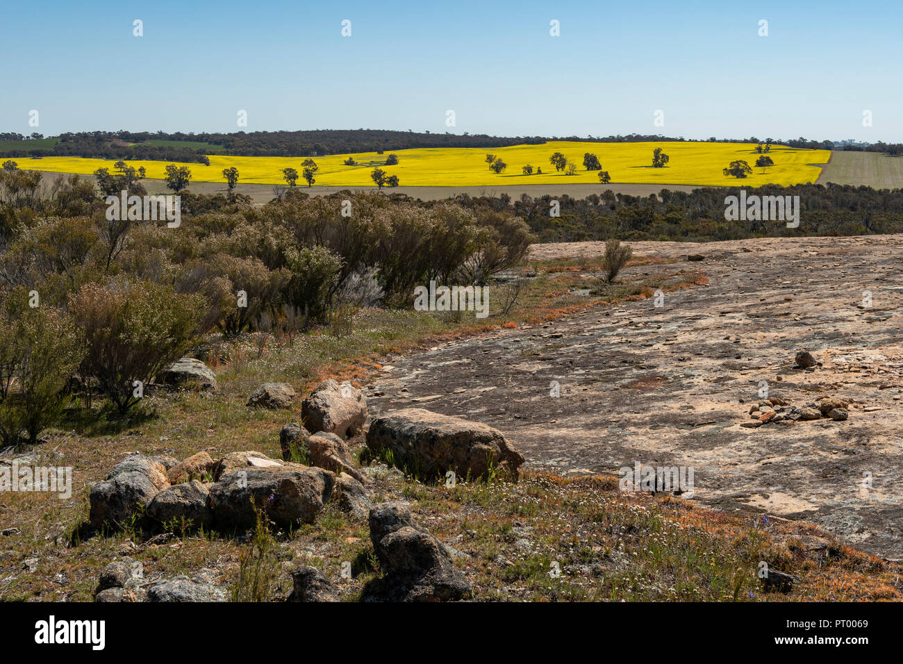 Narrogin western australia hi-res stock photography and images - Alamy