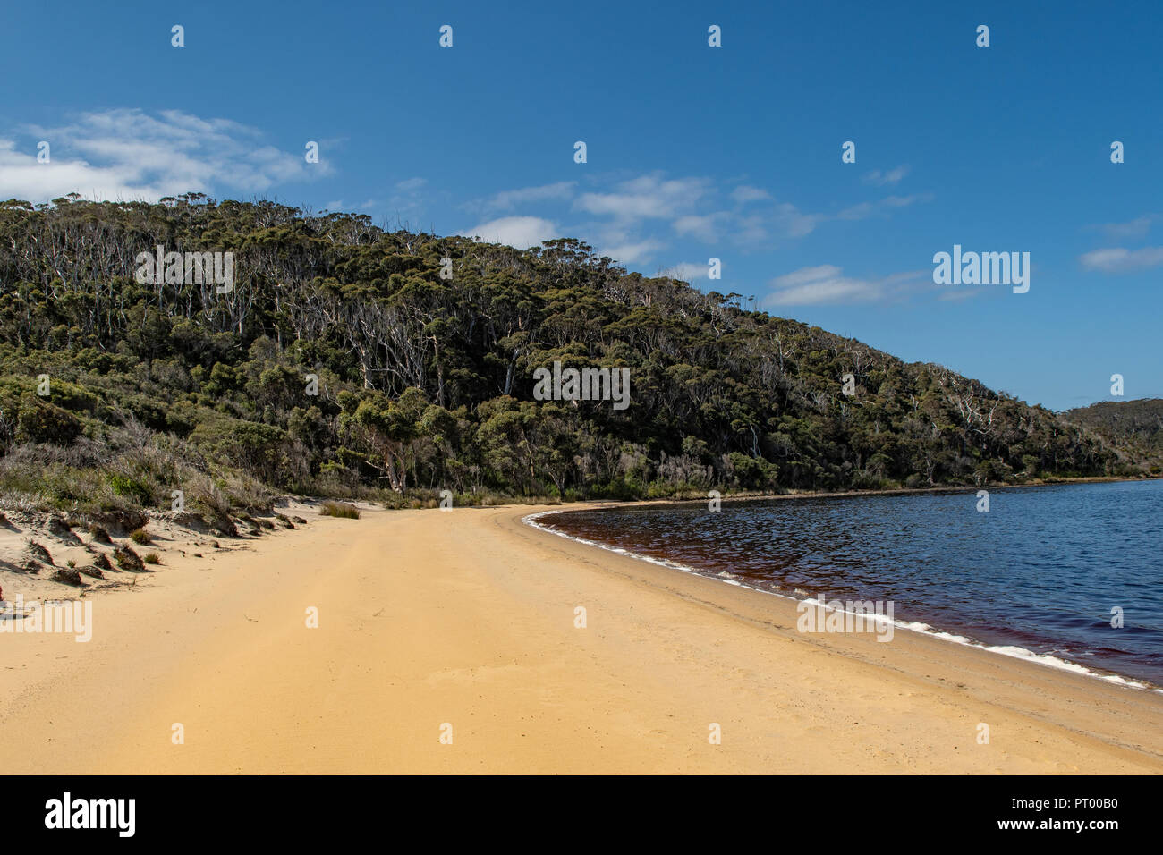 Walpole wa hi-res stock photography and images - Alamy