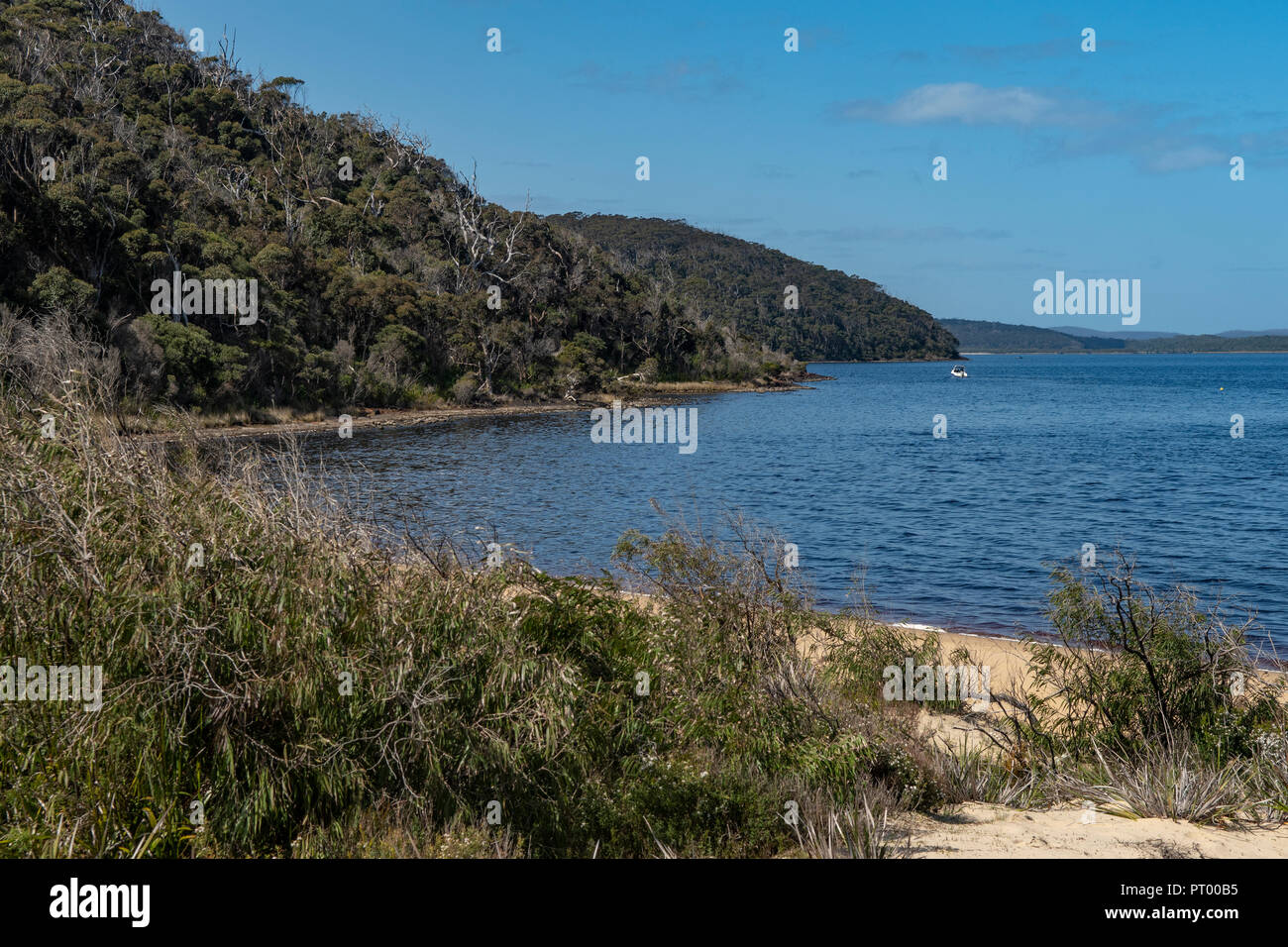 Sandy Beach, Walpole, WA, Australia Stock Photo - Alamy
