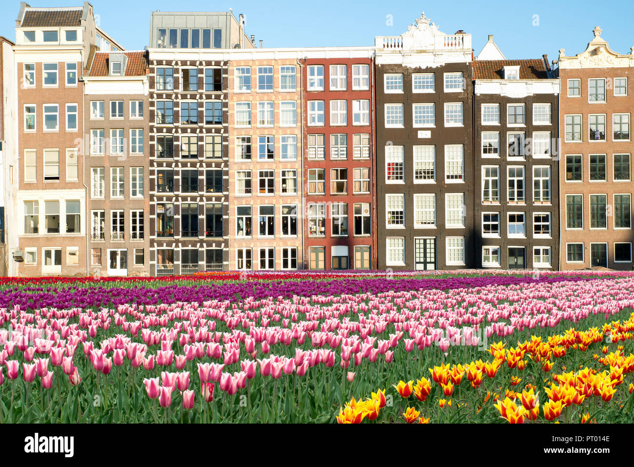 Dutch House Red Brick High Resolution Stock Photography and Images - Alamy