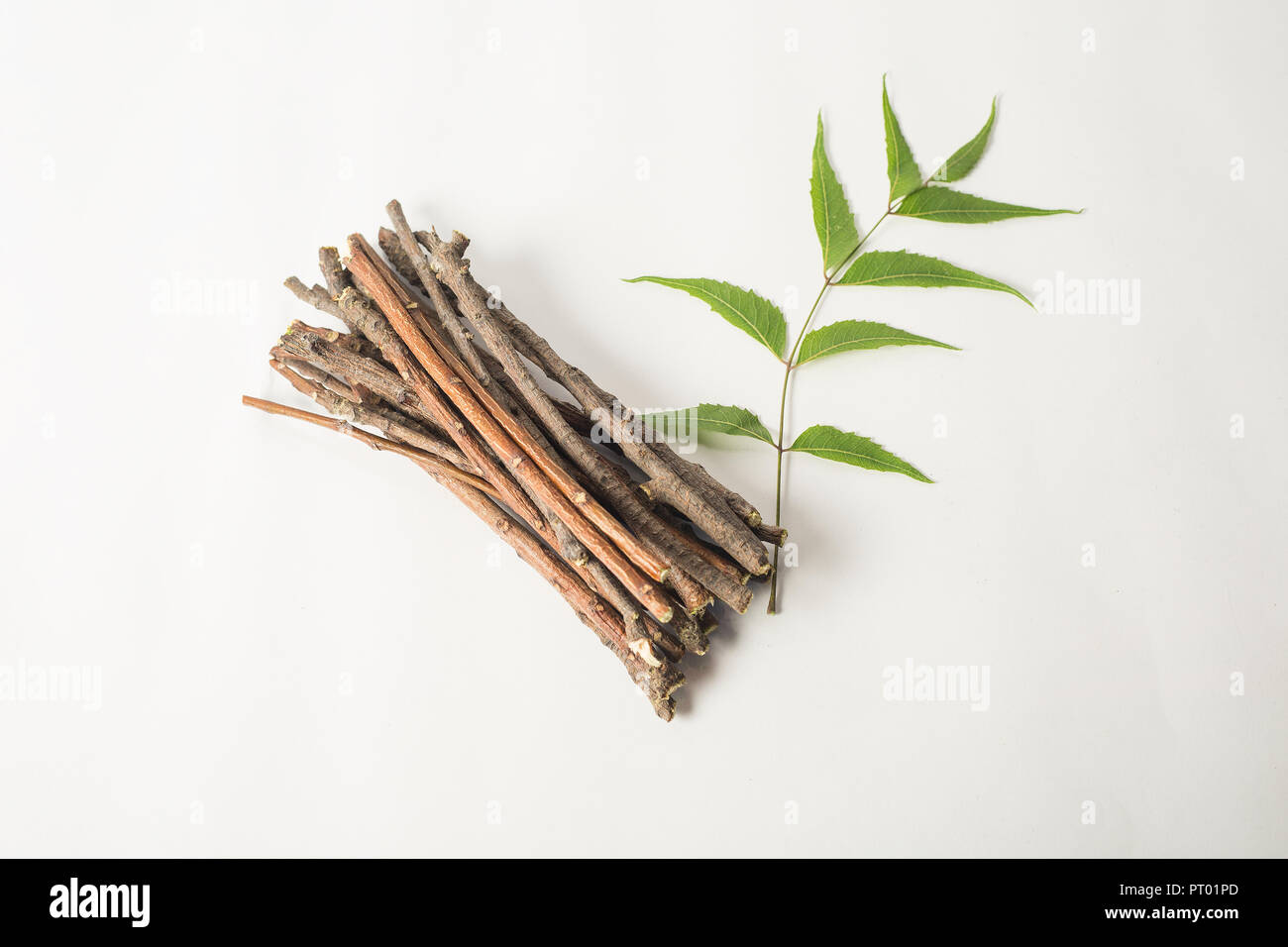 Neem sticks and Neem leaves. white isolated background Stock Photo - Alamy
