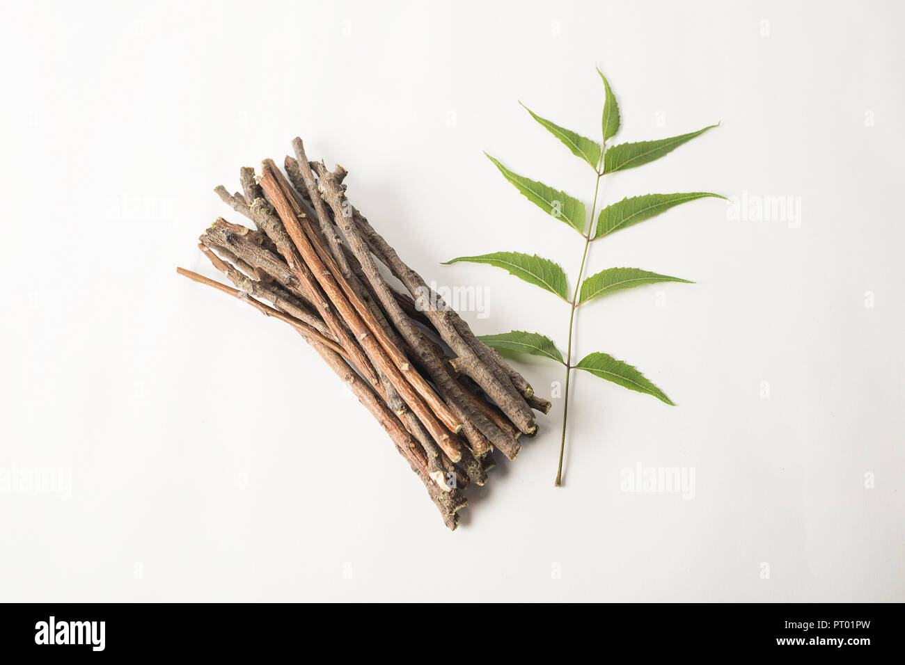 Neem sticks and Neem leaves. white isolated background Stock Photo - Alamy