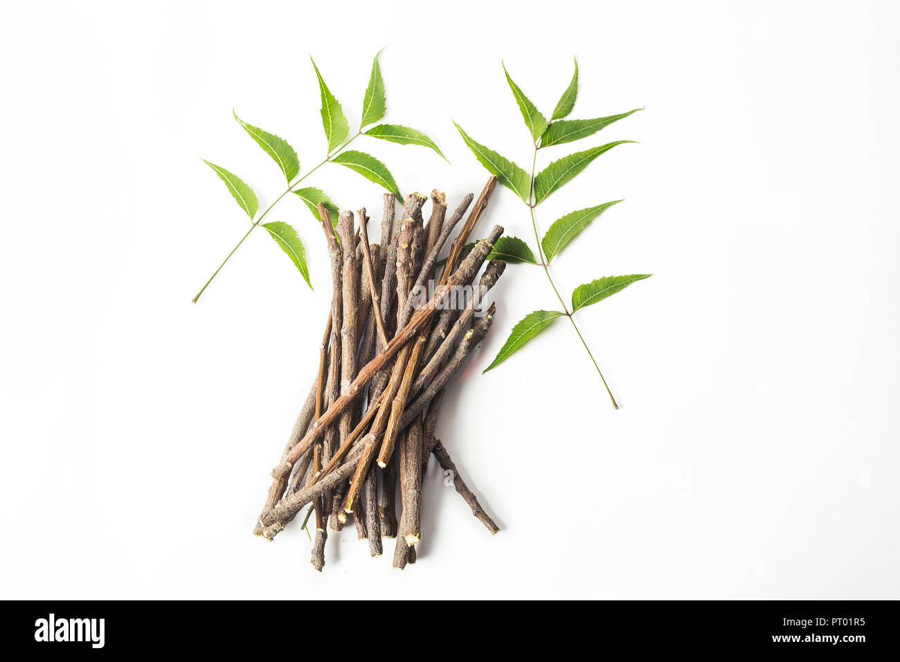 Neem sticks and Neem leaves. white isolated background Stock Photo - Alamy