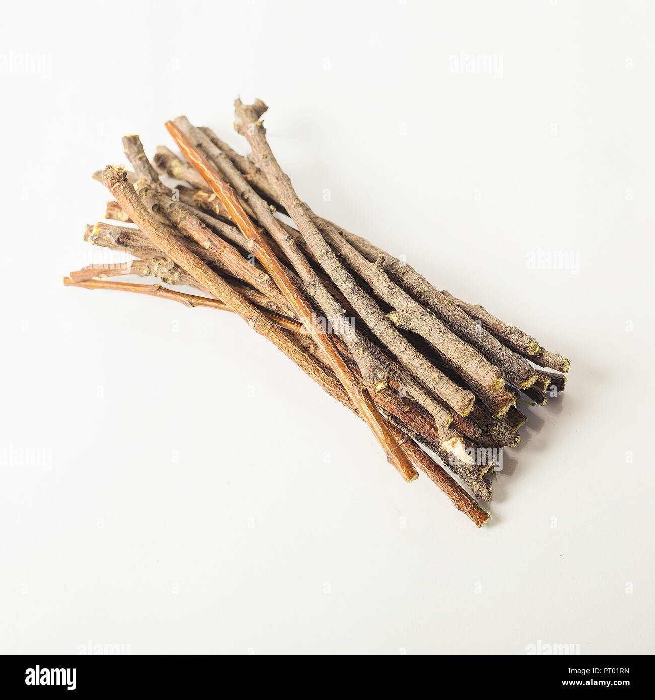 Toothbrush tree hi-res stock photography and images - Alamy